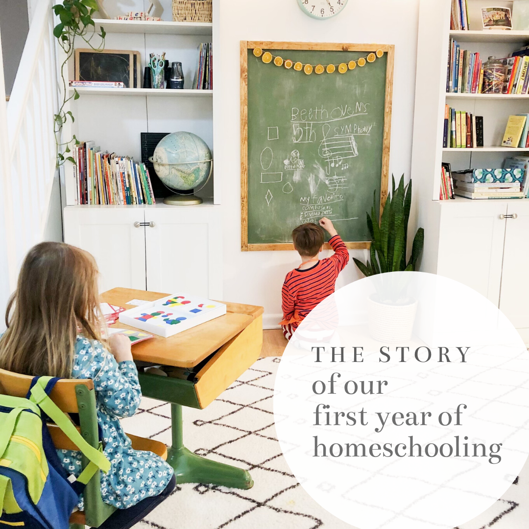The Story of Our First Year of Homeschooling – Brighter Day Press