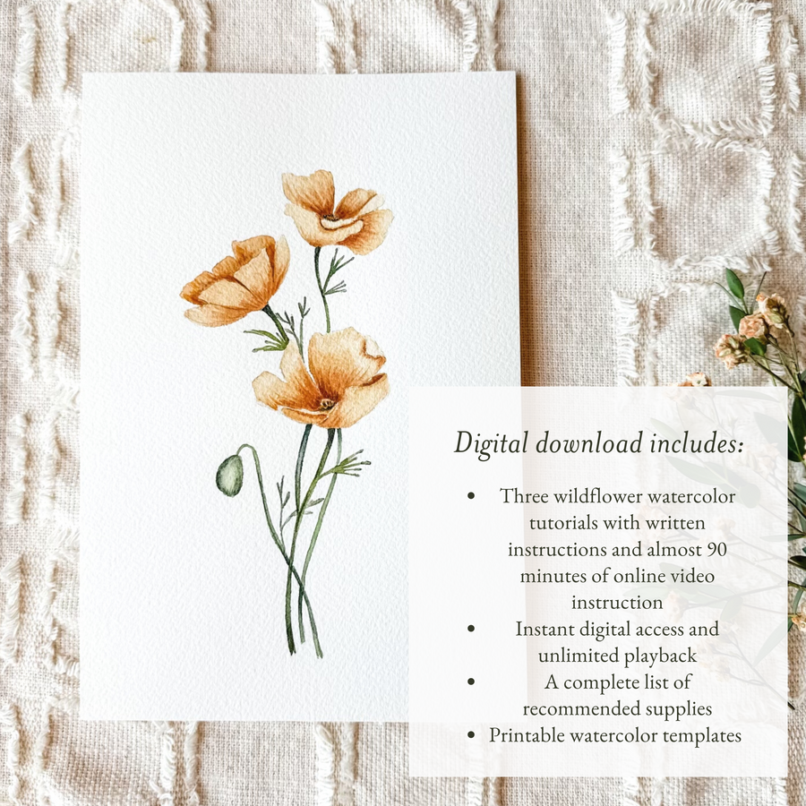 Watercolor Class: Wildflowers – Brighter Day Press