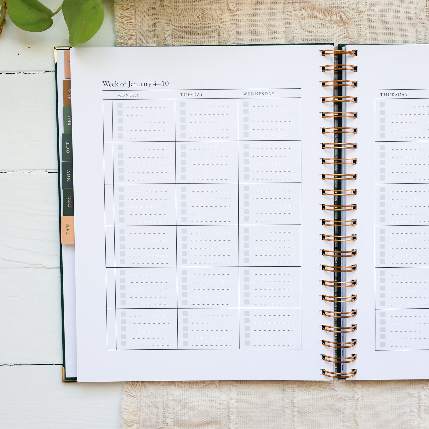 2025-2026 Homeschool Planner – Brighter Day Press