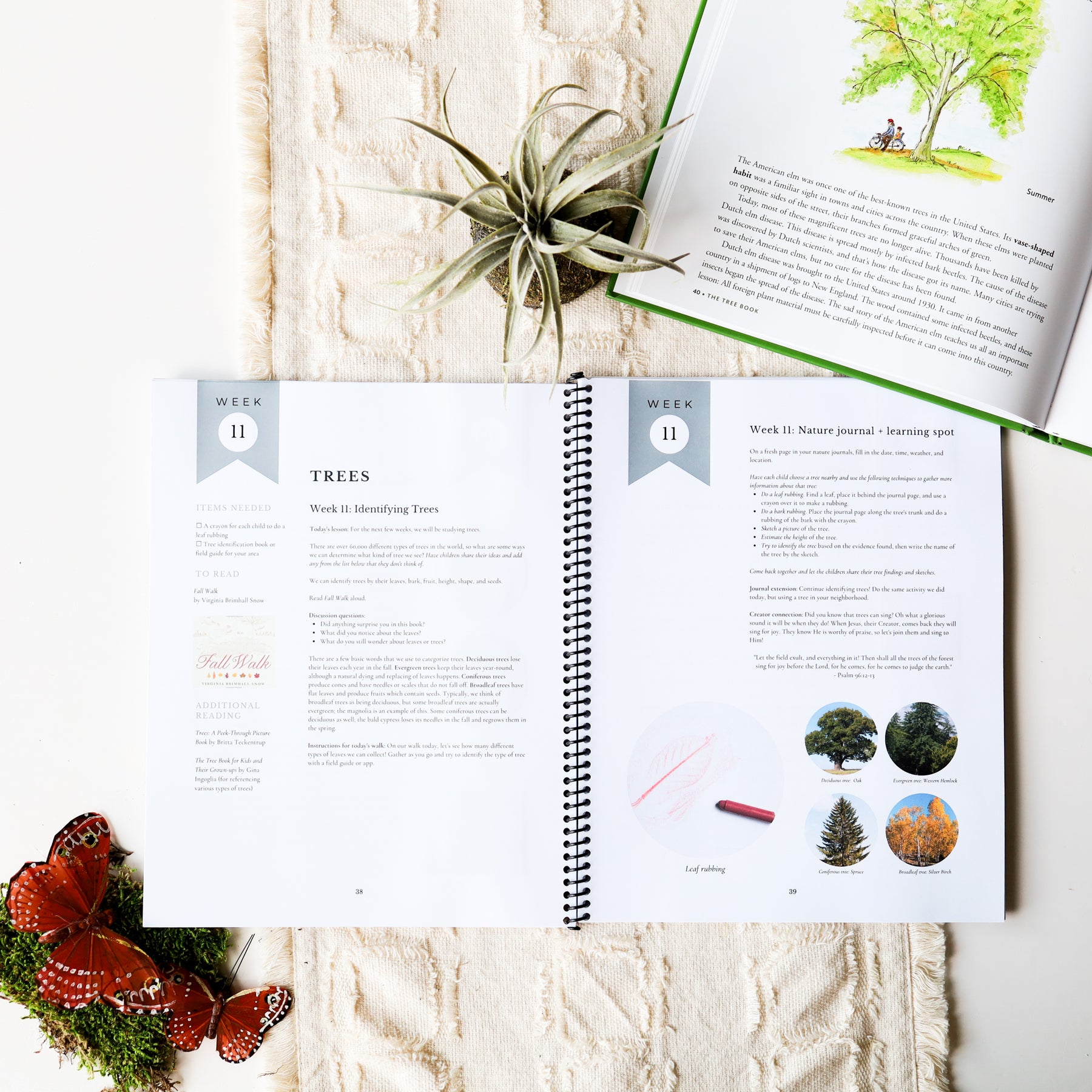 The Nature guide – Brighter Day Press