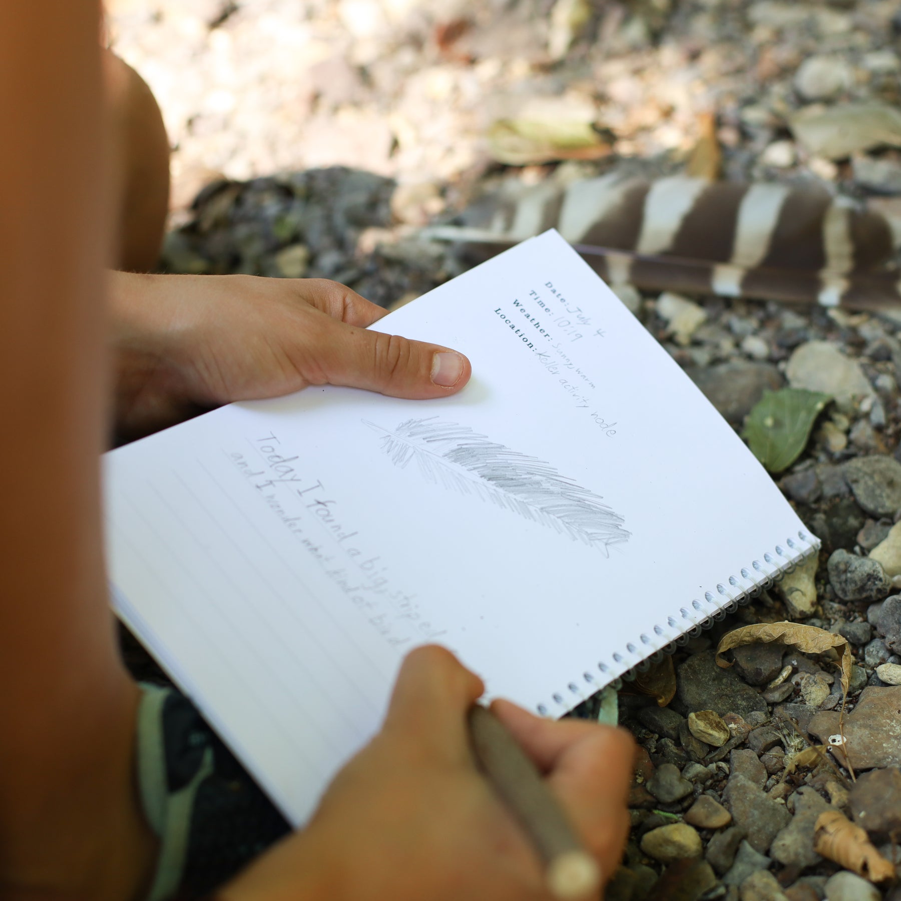 Nature Journal – Brighter Day Press