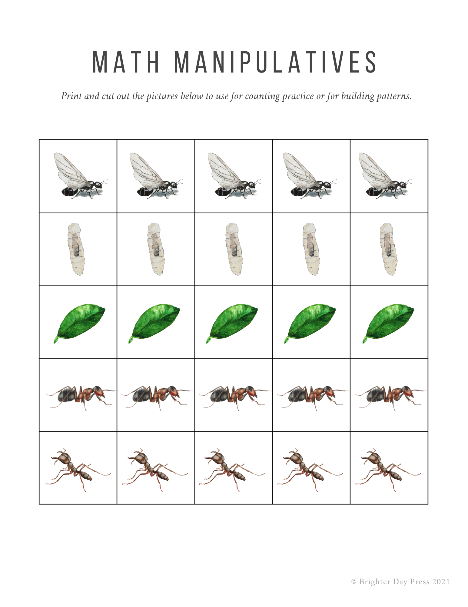 Ants Unit Study (Digital Download) – Brighter Day Press