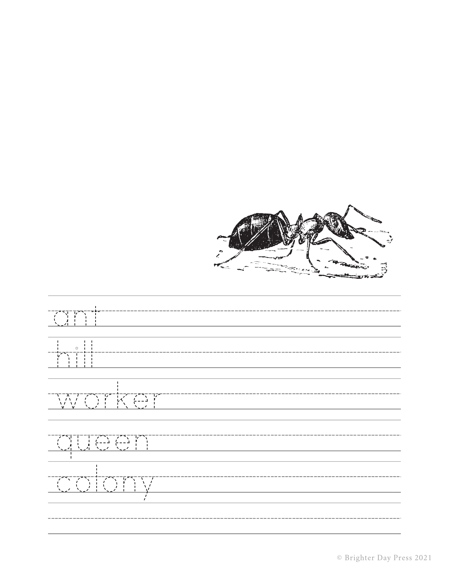 Ants Unit Study (Digital Download) – Brighter Day Press