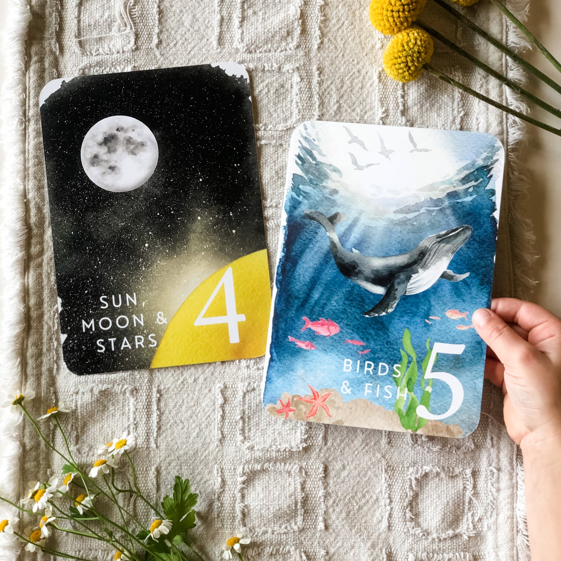 Creation Story Cards – Brighter Day Press